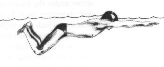 The Modern Breaststroke | U.S. Masters Swimming